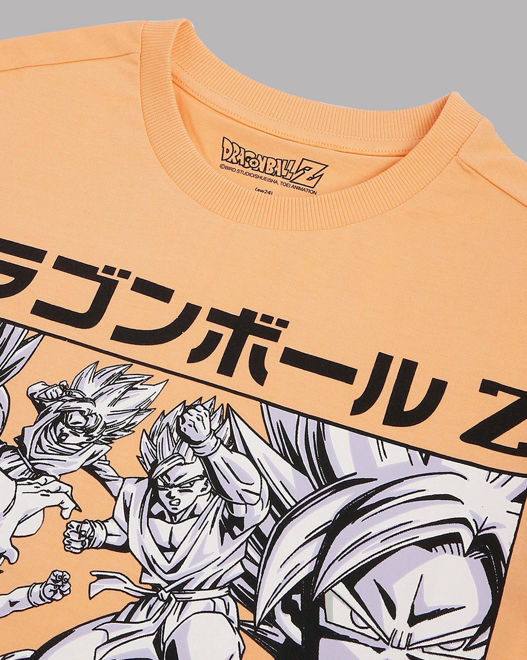 Dragon Ball Z Official Merchandise – Free Authority